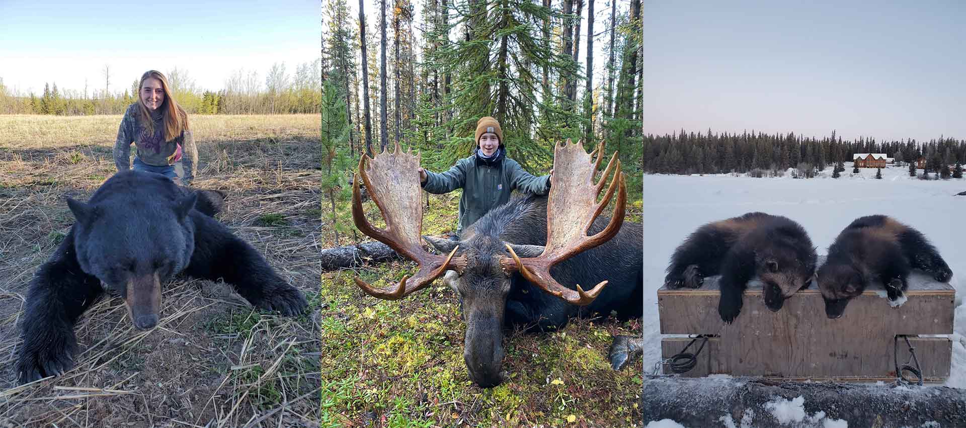 Hunt moose - Black bears - Wolves - Lynx - Crystal Lake Resort BC